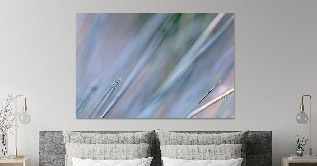 Regen.. van Miranda van Hulst op canvas, behang en meer